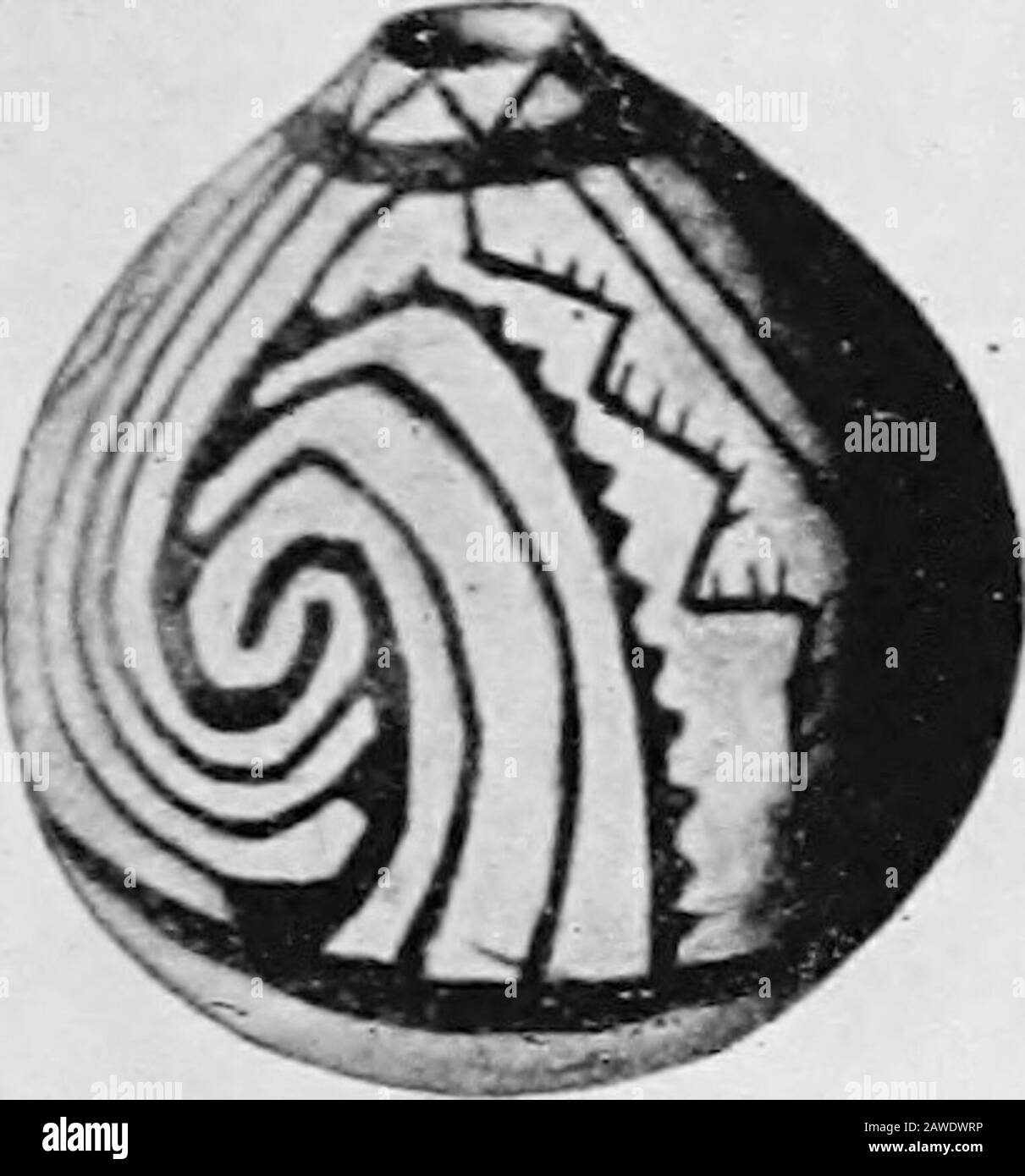 An introduction to the study of social evolution; the prehistoric ...