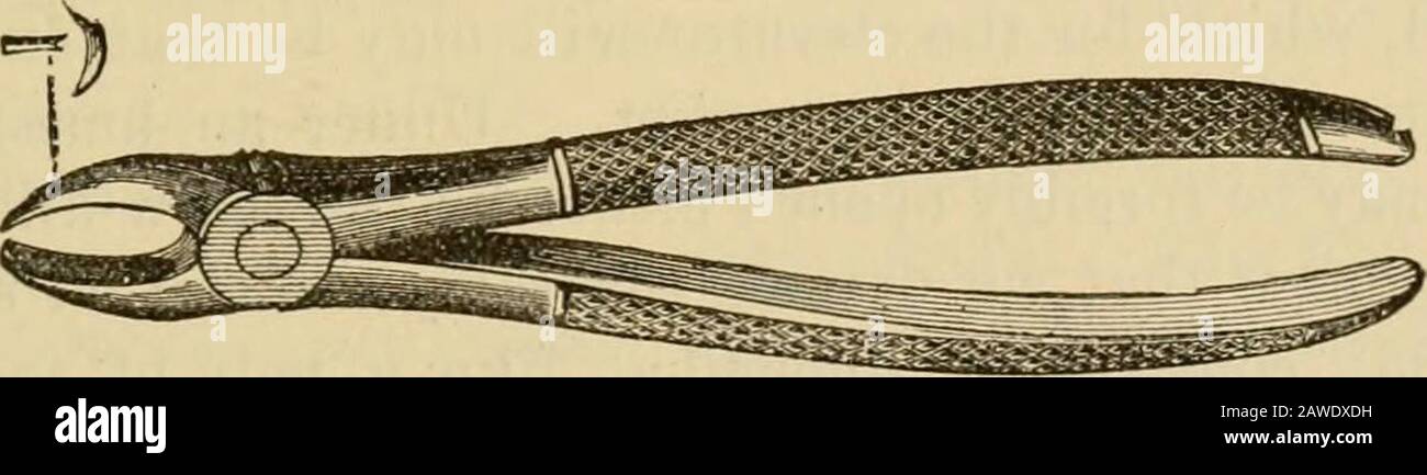Manual of dental surgery and pathology . Forceps for extractiug lower ...