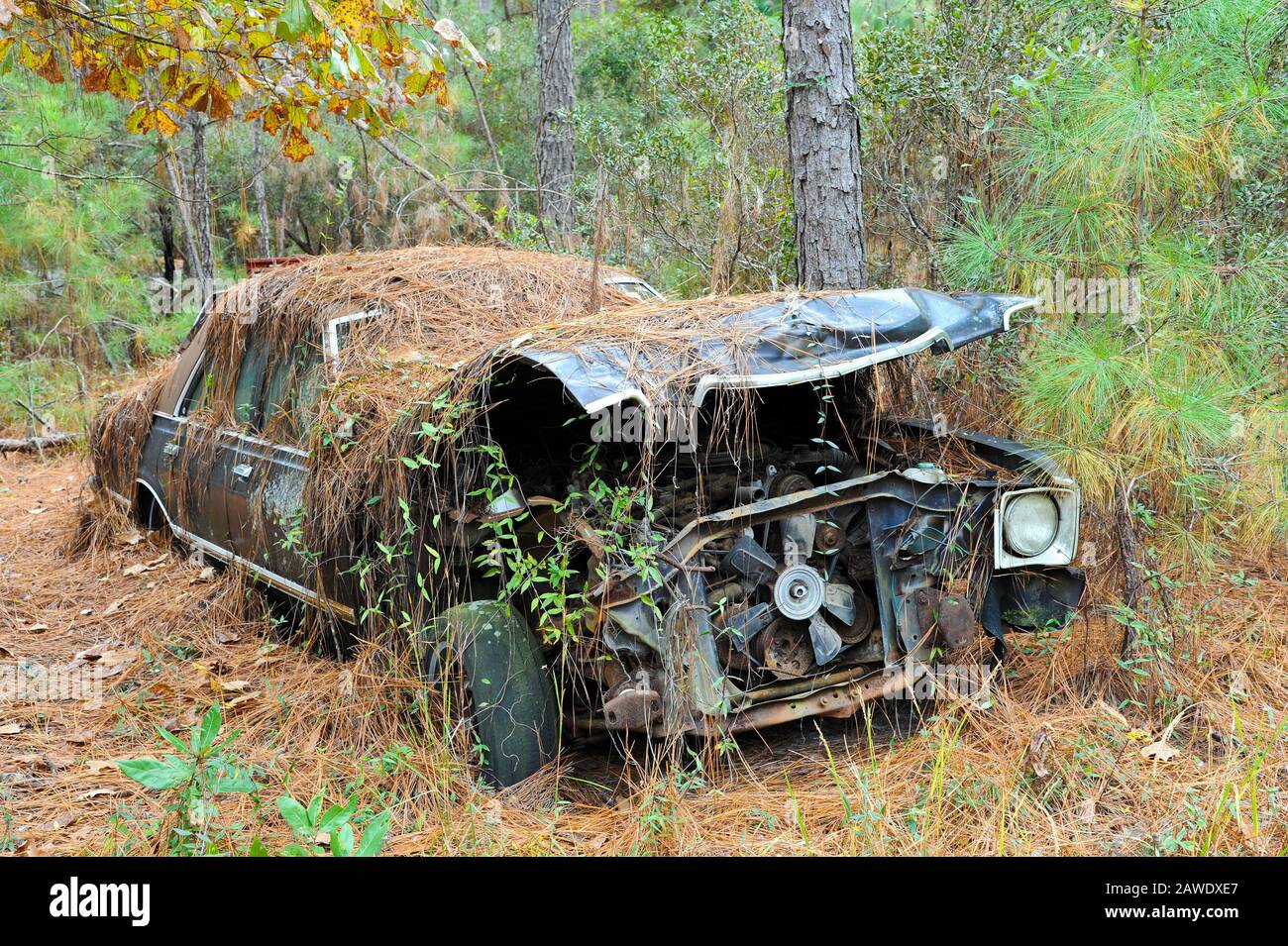 Rusted out car hi-res stock photography and images - Alamy