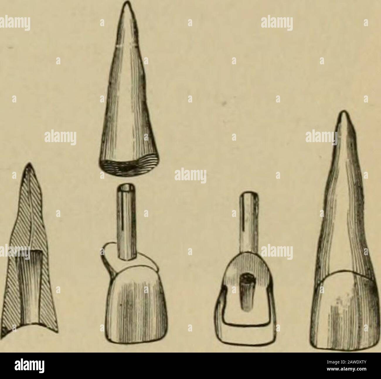 Pivot Tooth High Resolution Stock Photography and Images - Alamy