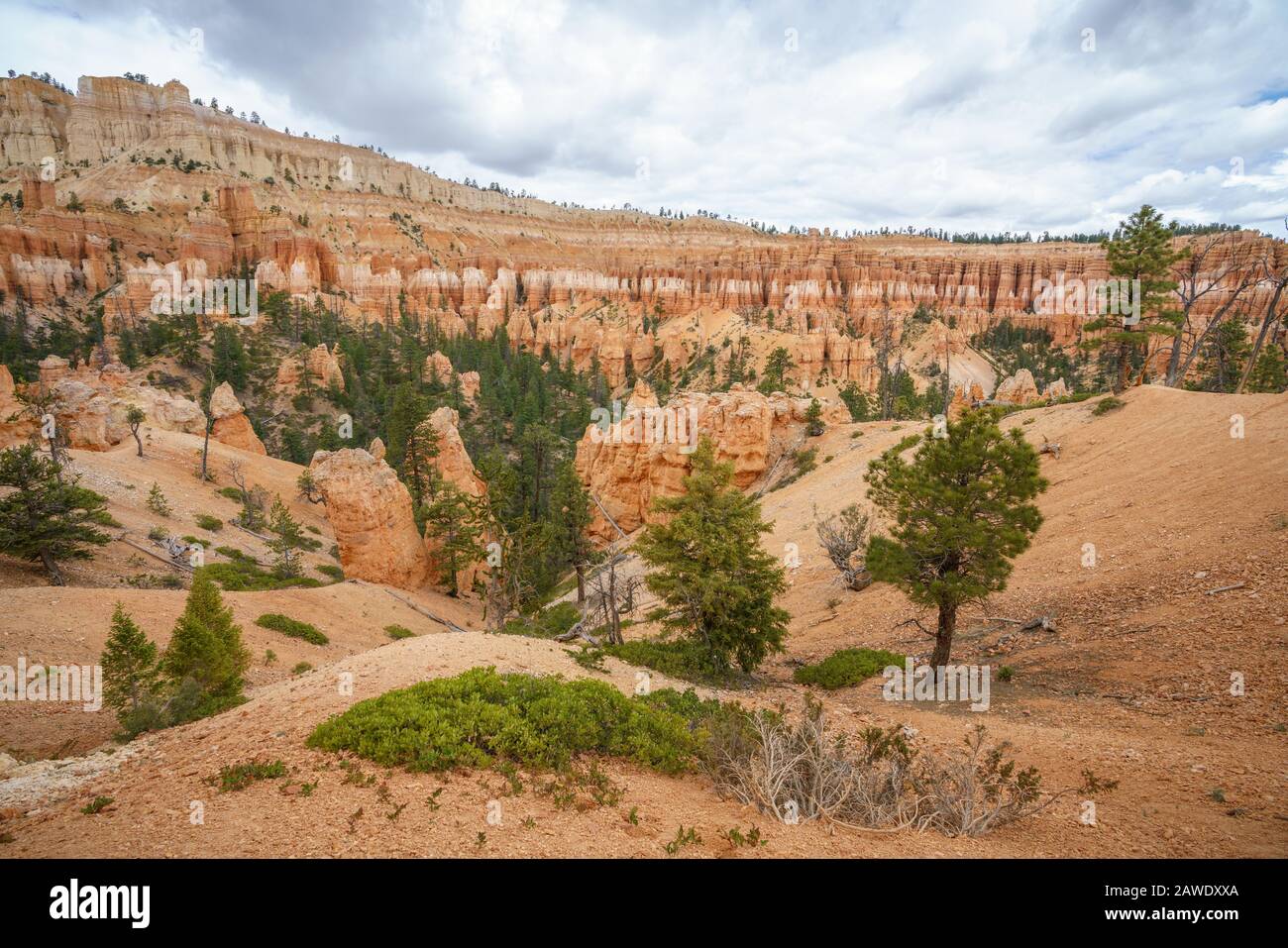 hiking the peek-a-boo loop in the bryce canyon national park in utah in ...