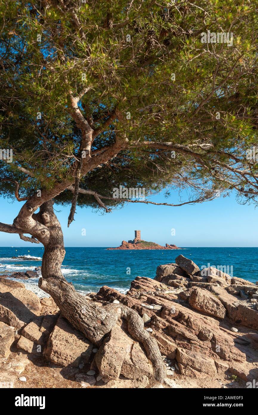 Island of Ile d'Or at Cap Dramont, Saint-Raphael, Var, Provence-Alpes ...