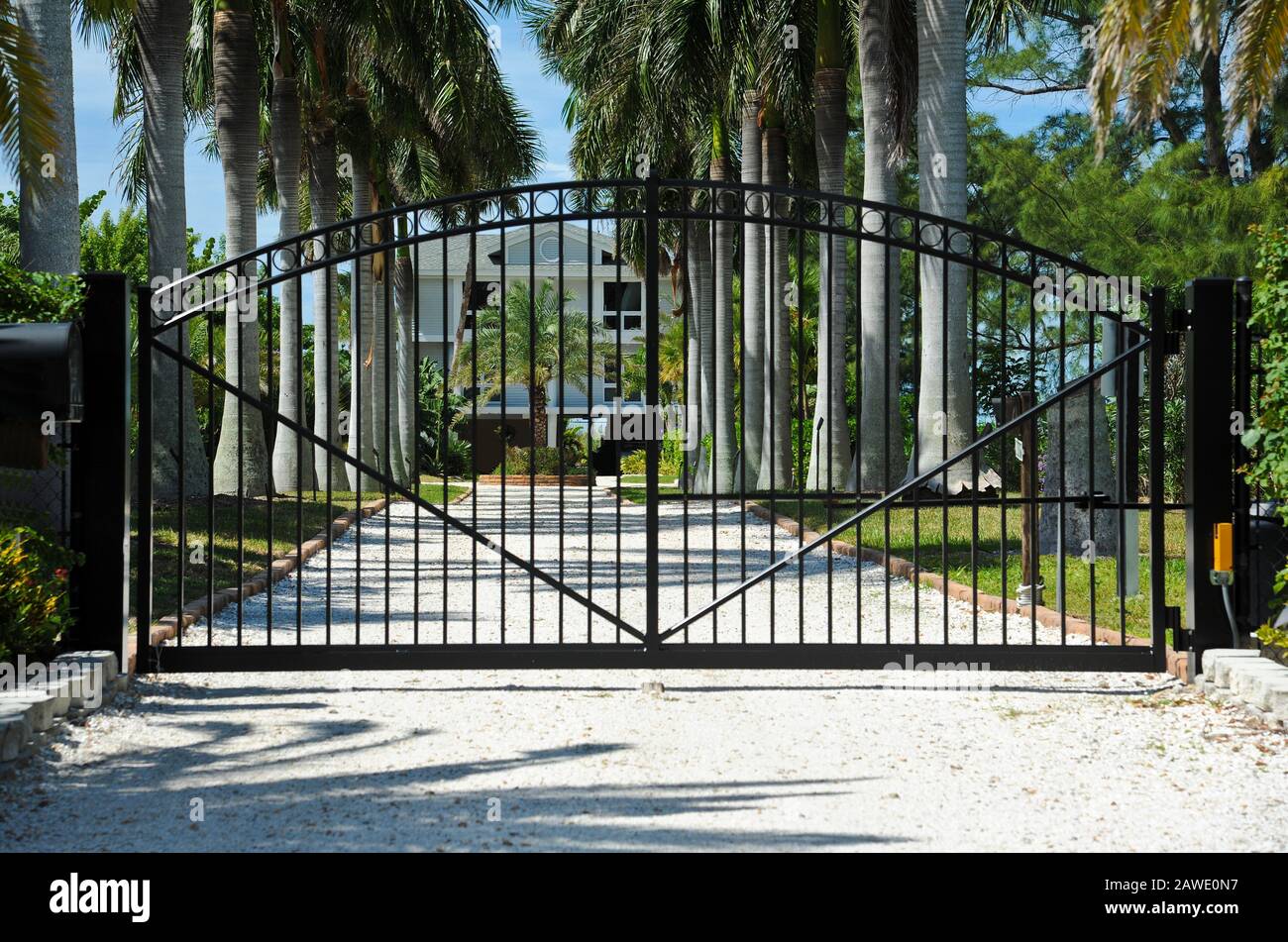 Iron Security Gates Protecting the Entrance to a Palm Tree Lined ...