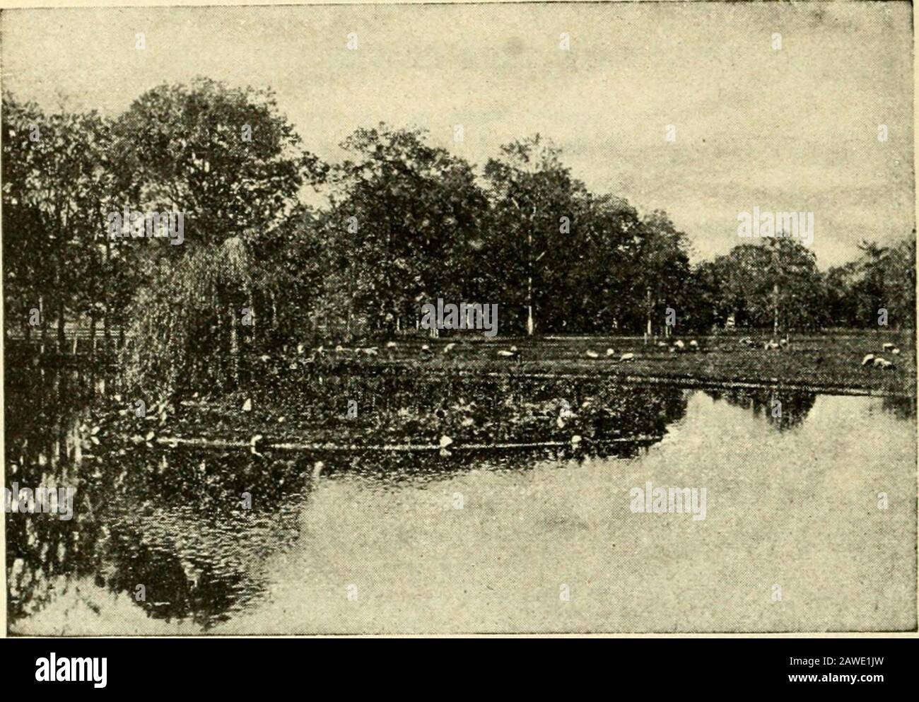 J beardsley hi-res stock photography and images - Alamy