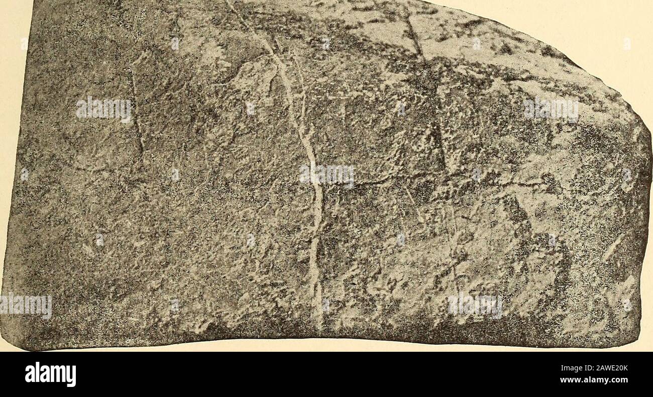 Conchoidal fracture hi-res stock photography and images - Alamy