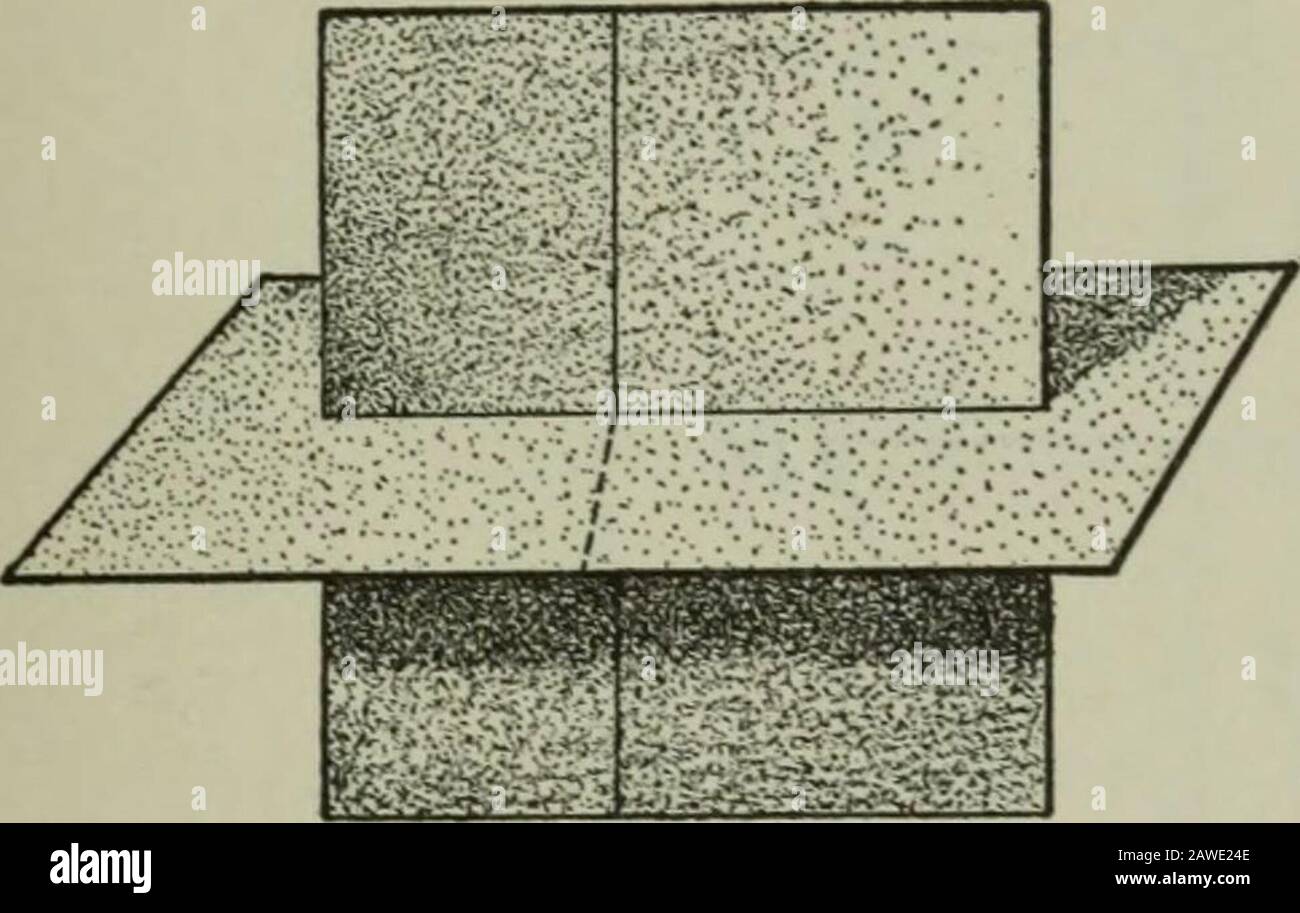 Plane and solid geometry . BOOK VI 329 Proposition XXIII. Theorem 679 ...