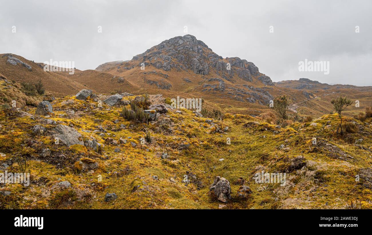 Parque Nacional el Cajas, Cuenca Stock Photo - Alamy