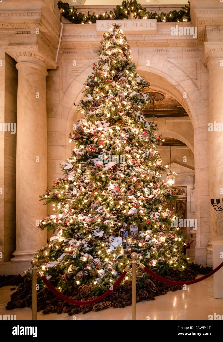 New York Public Library Christmas Tree Stock Photo - Alamy