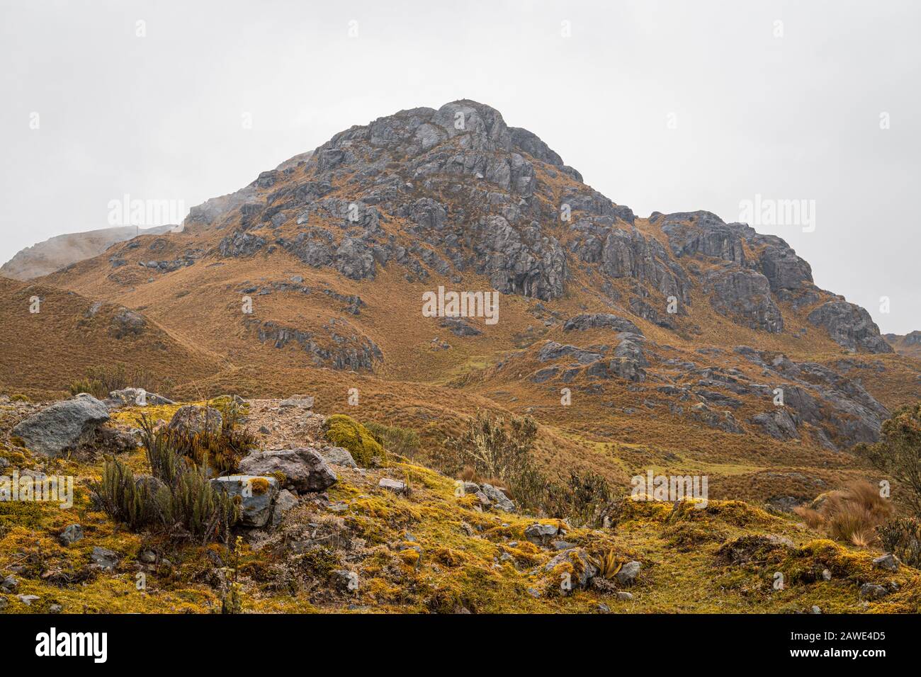 Parque Nacional el Cajas, Cuenca Stock Photo - Alamy