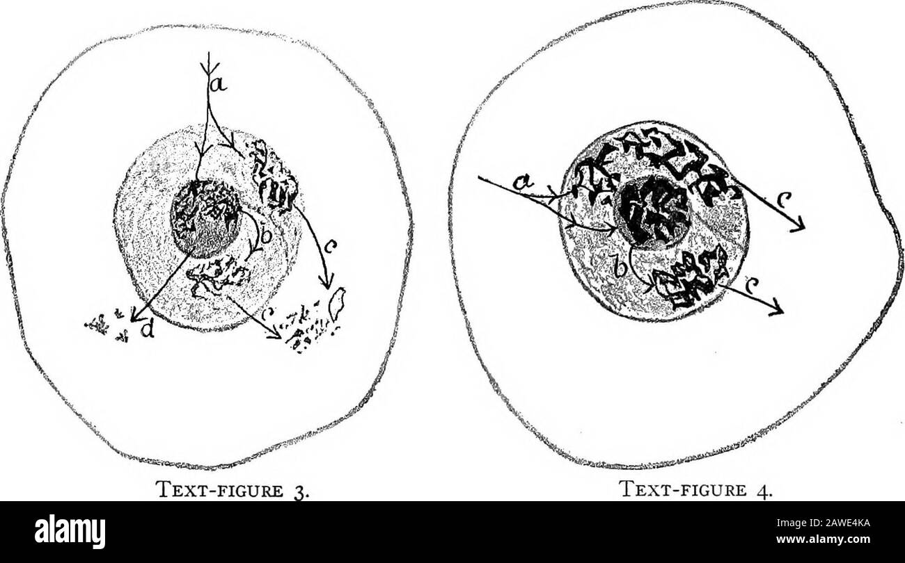 Clinical and pathological papers .. . row(a). If there is no excess of ...
