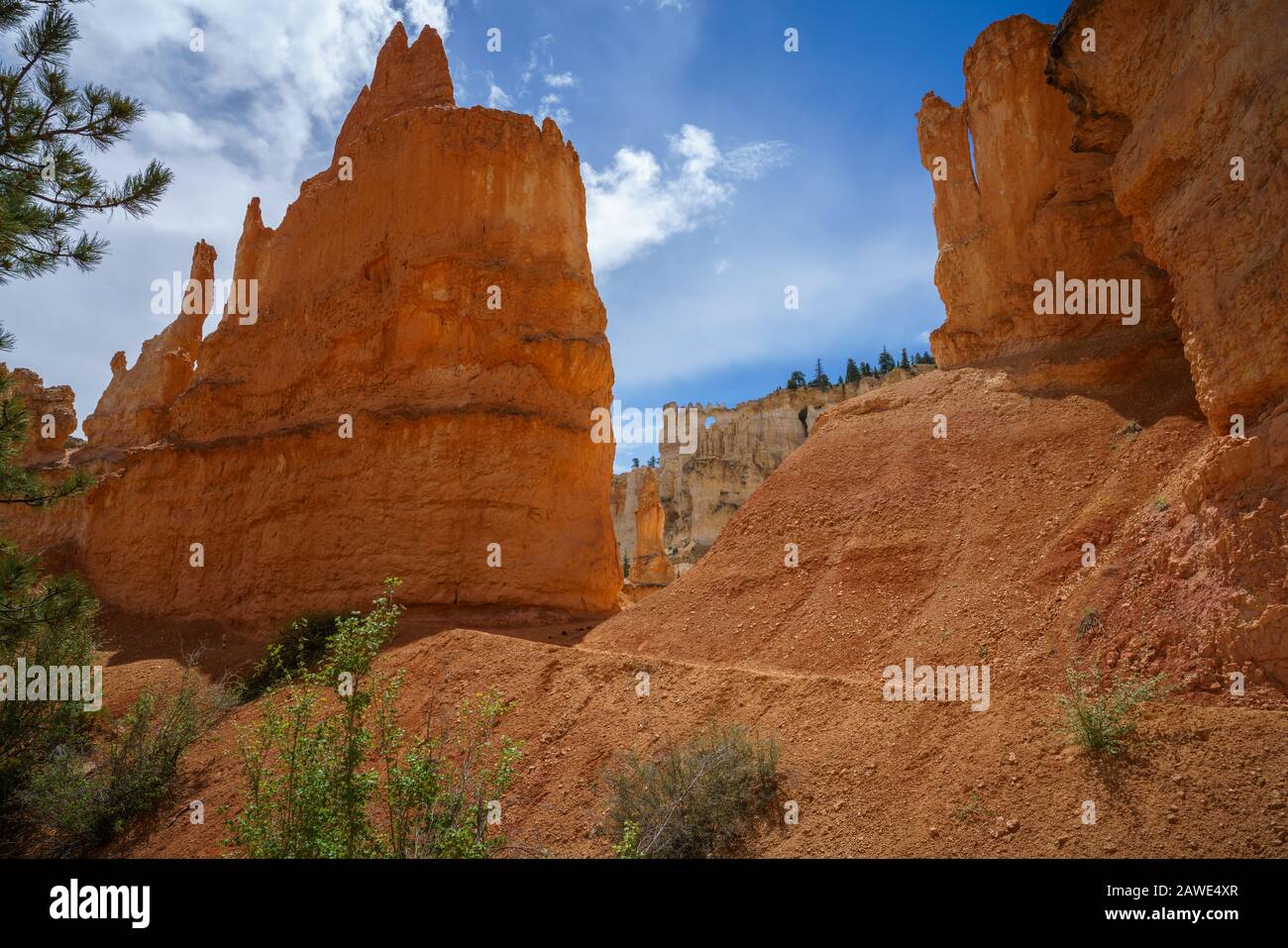 hiking the peek-a-boo loop in the bryce canyon national park in utah in ...