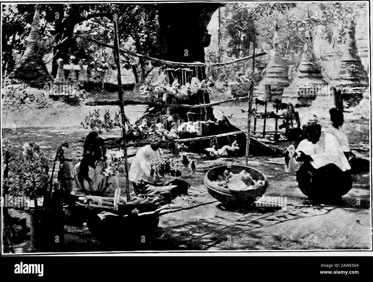 Yoke heavier hi-res stock photography and images - Alamy