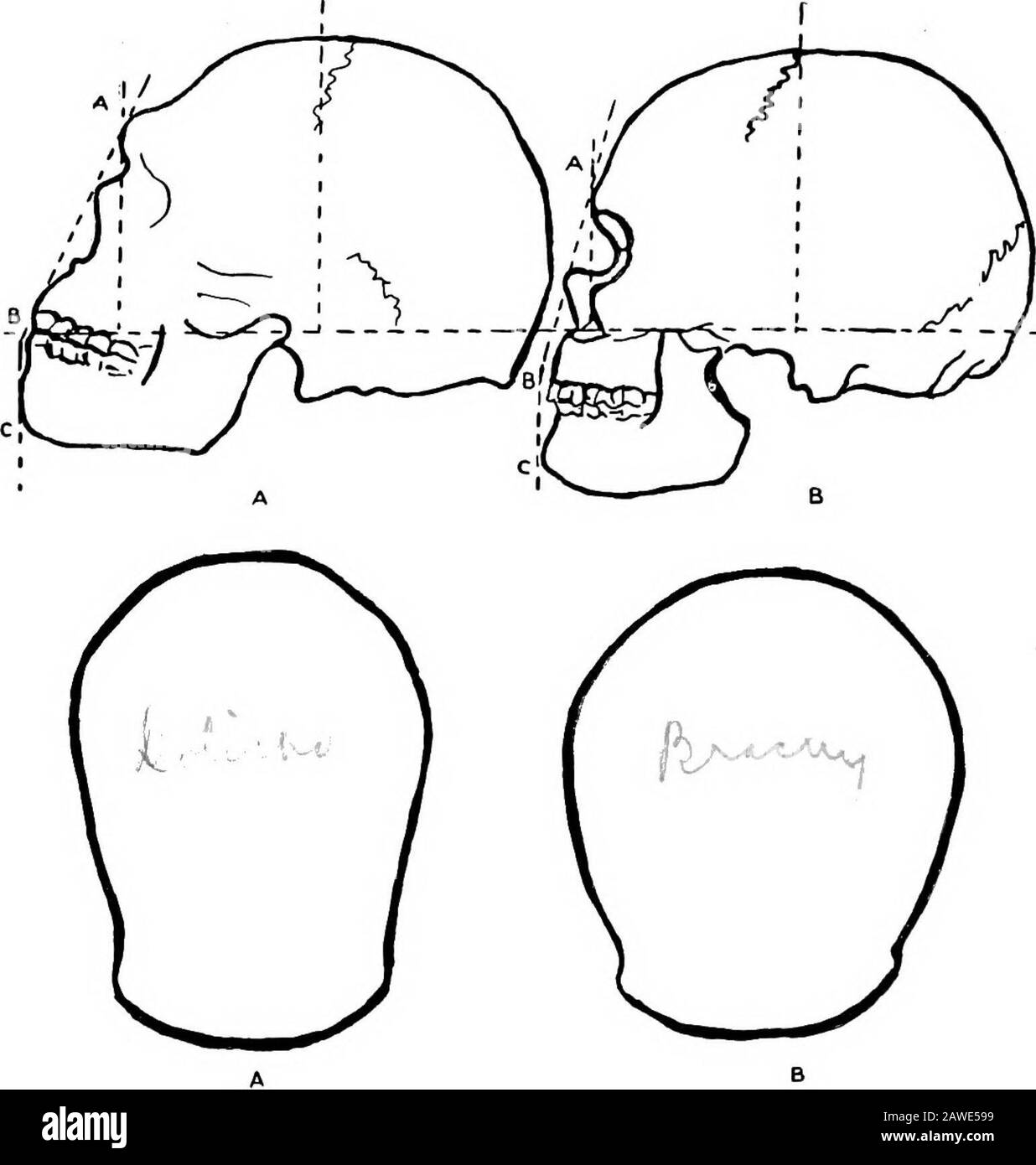 An introduction to the study of social evolution; the prehistoric ...