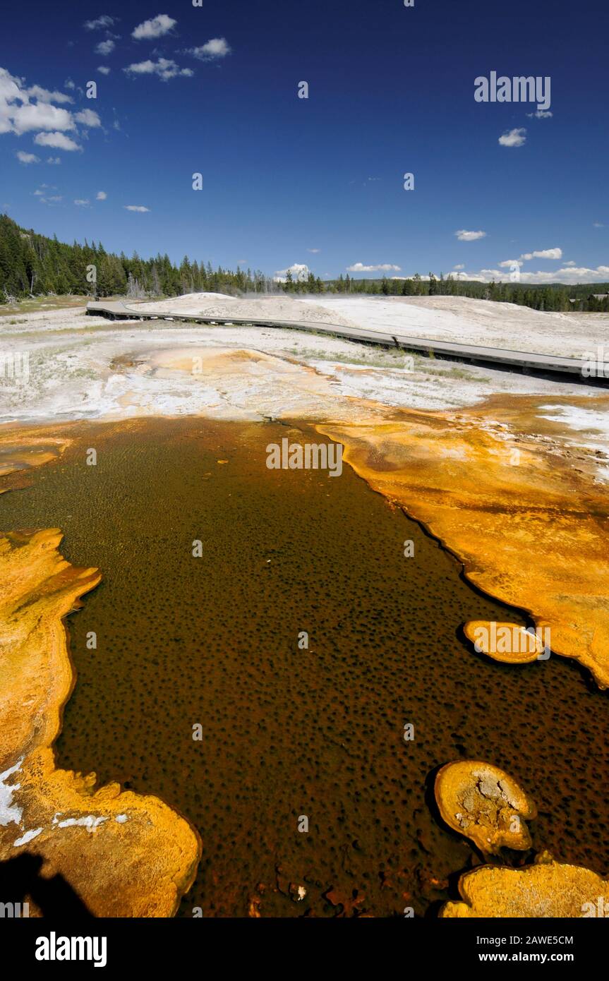 Geothermal features in Yellowstone National Park Stock Photo - Alamy