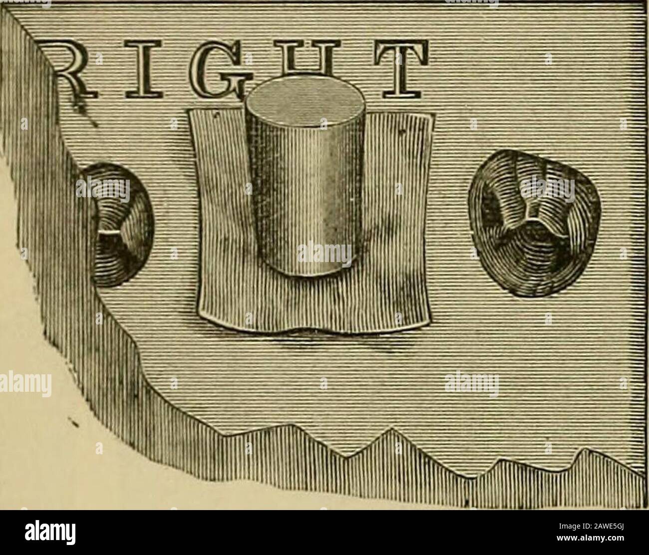 Four part mold hi-res stock photography and images - Alamy