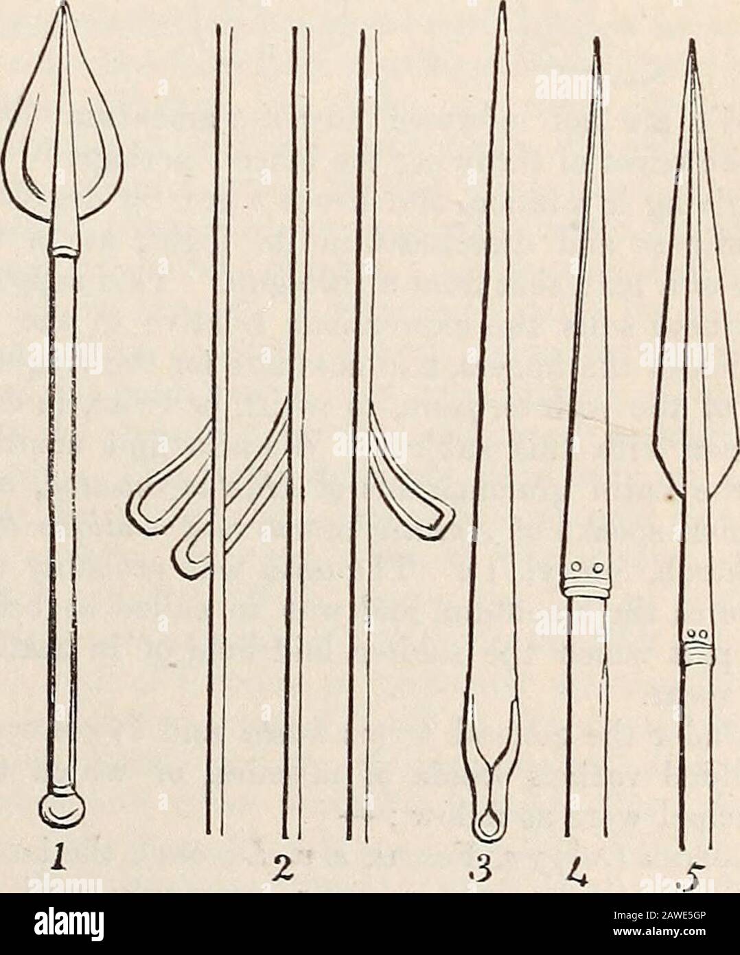 A dictionary of Greek and Roman antiquities.. . of Persia, had,instead ...