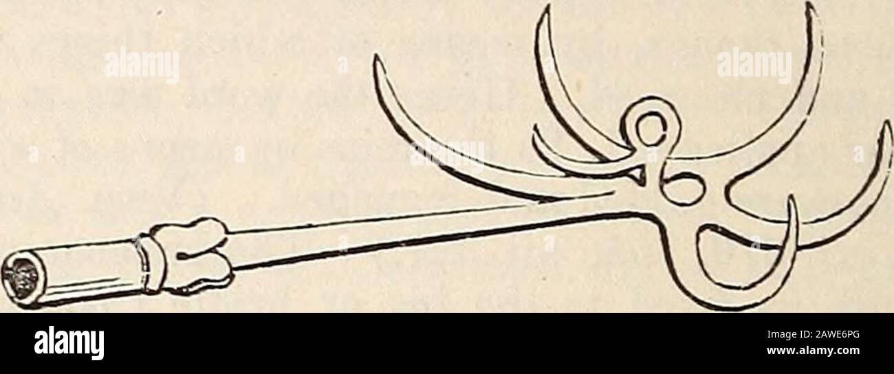 Flesh hook hi-res stock photography and images - Alamy