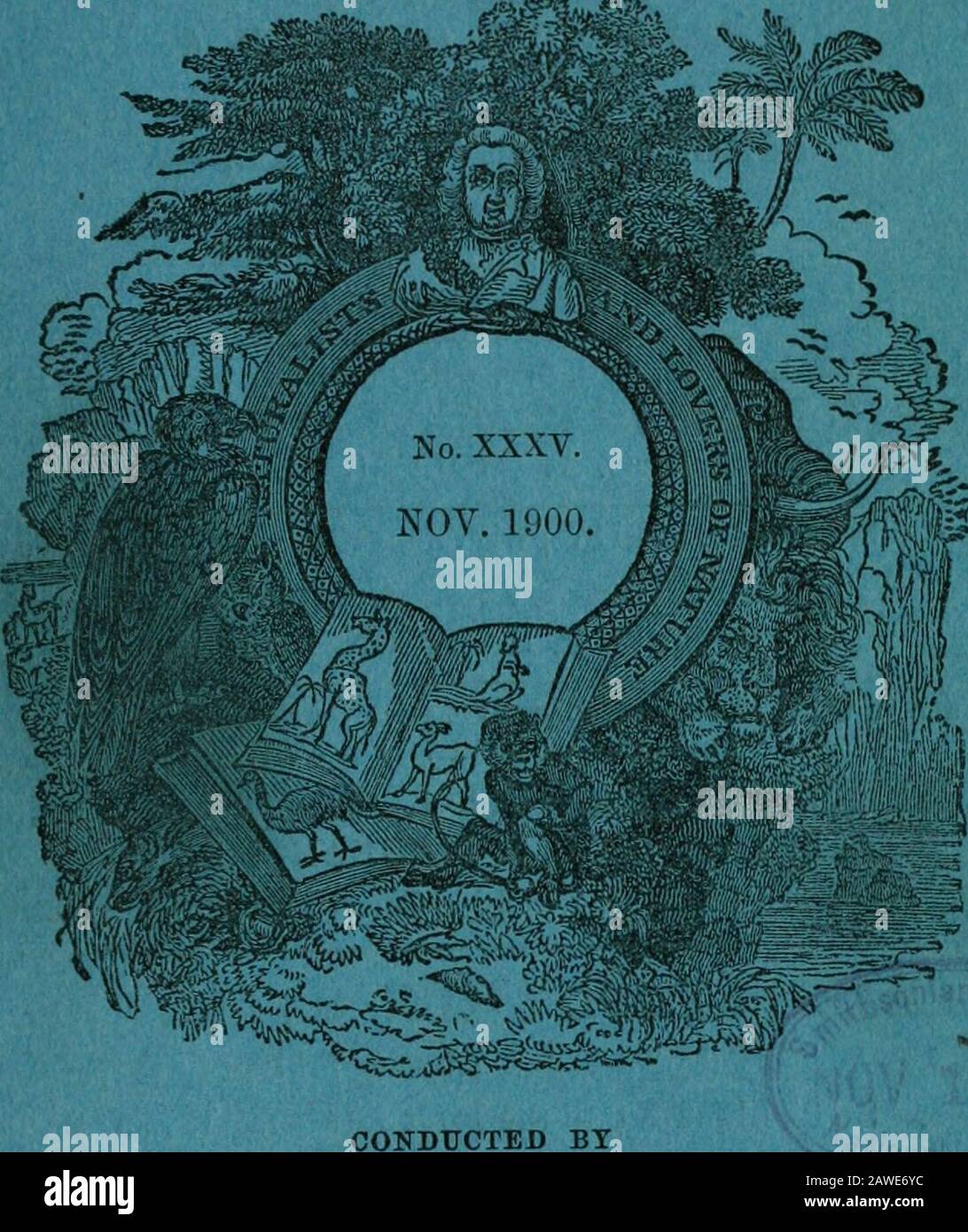 Snake shells hi-res stock photography and images - Alamy