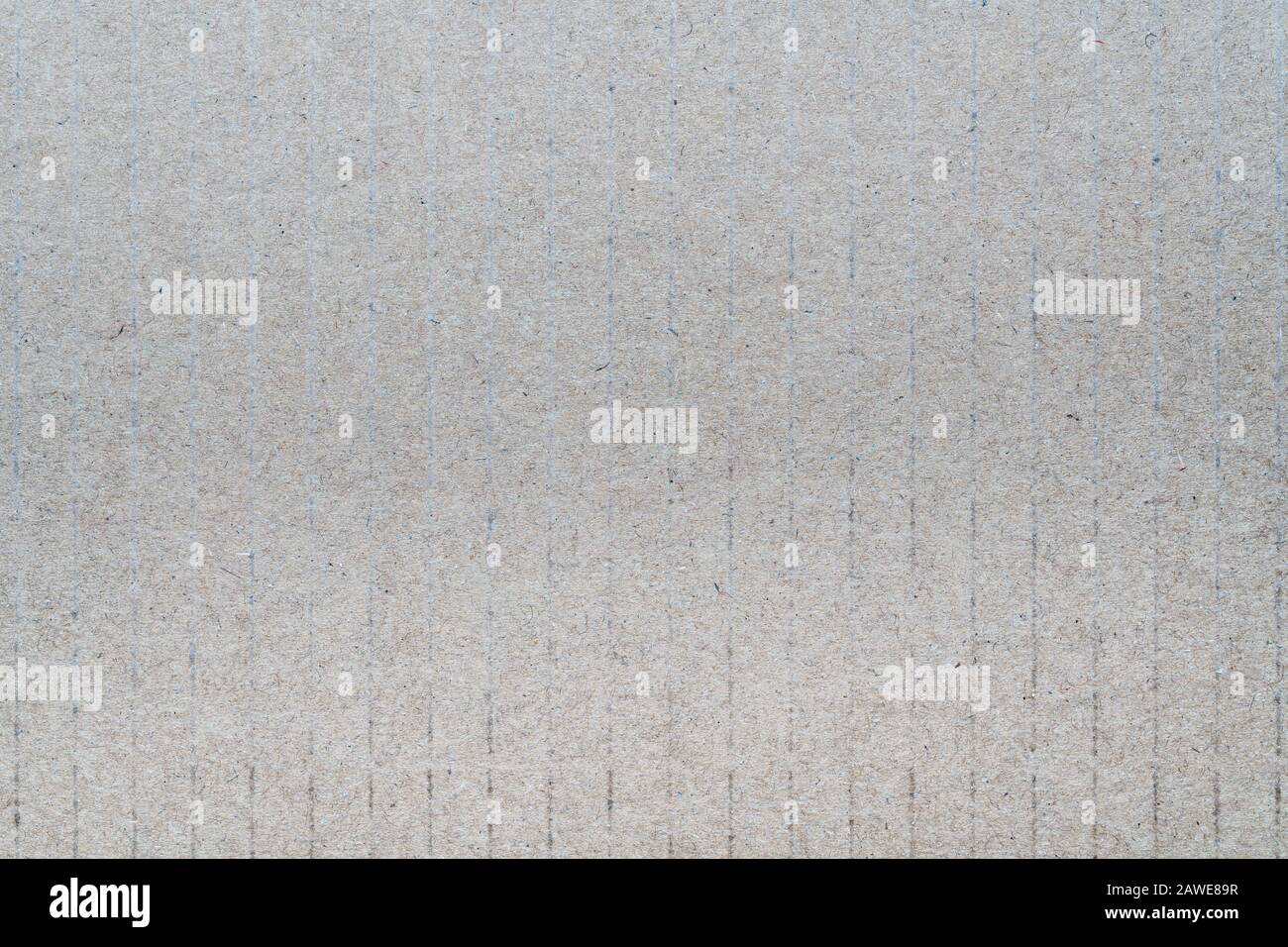 Light gray surface from sheet of recycled carton. Close-up detail ...