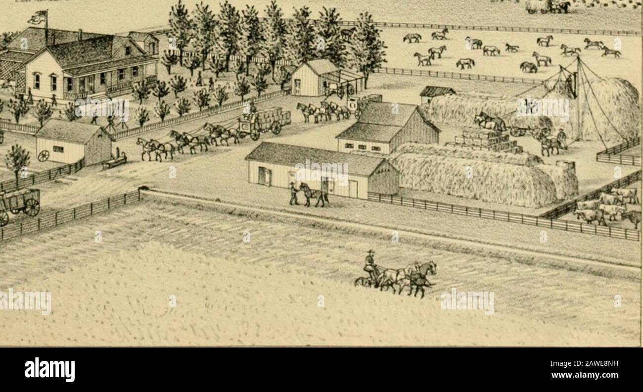 History of Nevada; . ? .A...M Stock Photo - Alamy