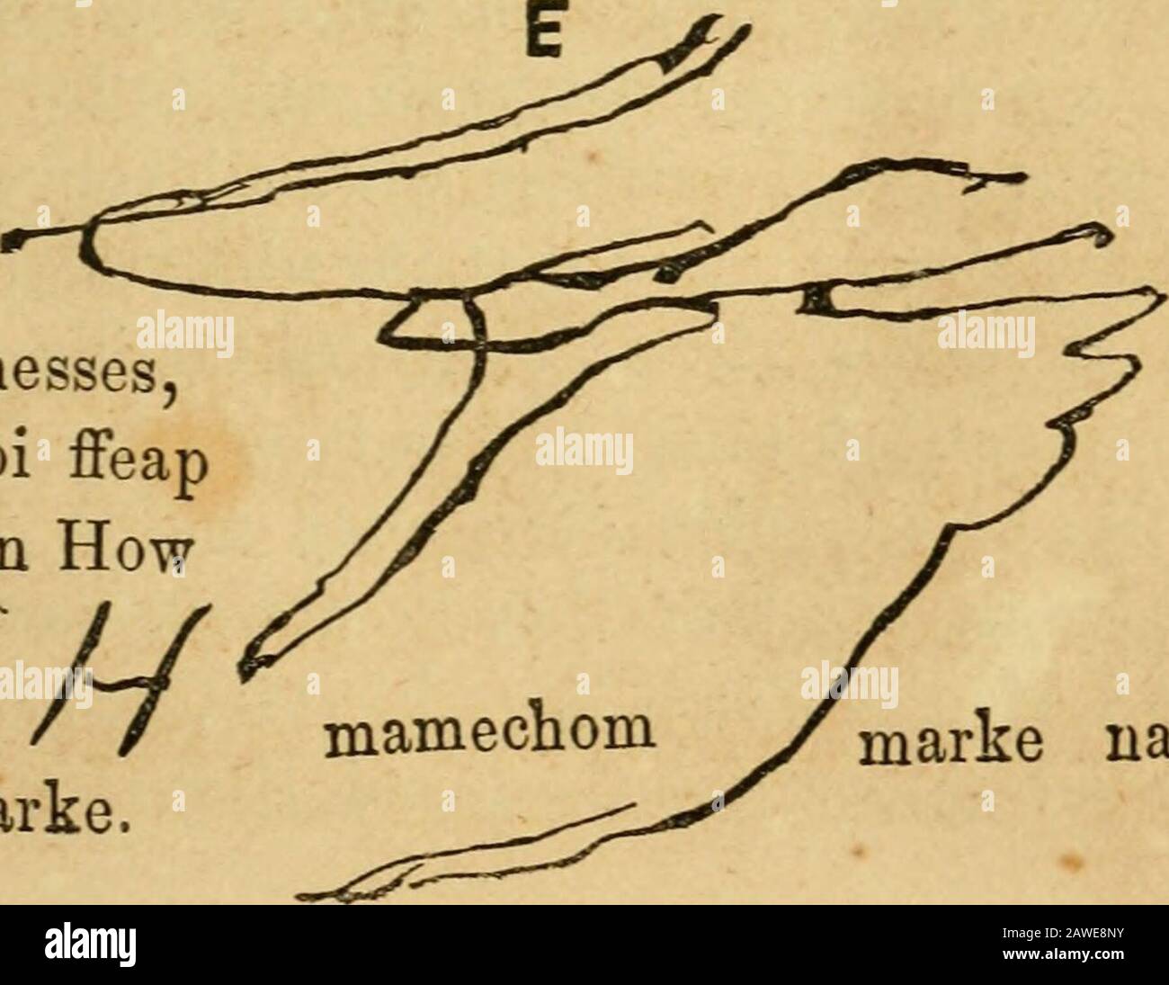 Plan on forever hi-res stock photography and images - Alamy