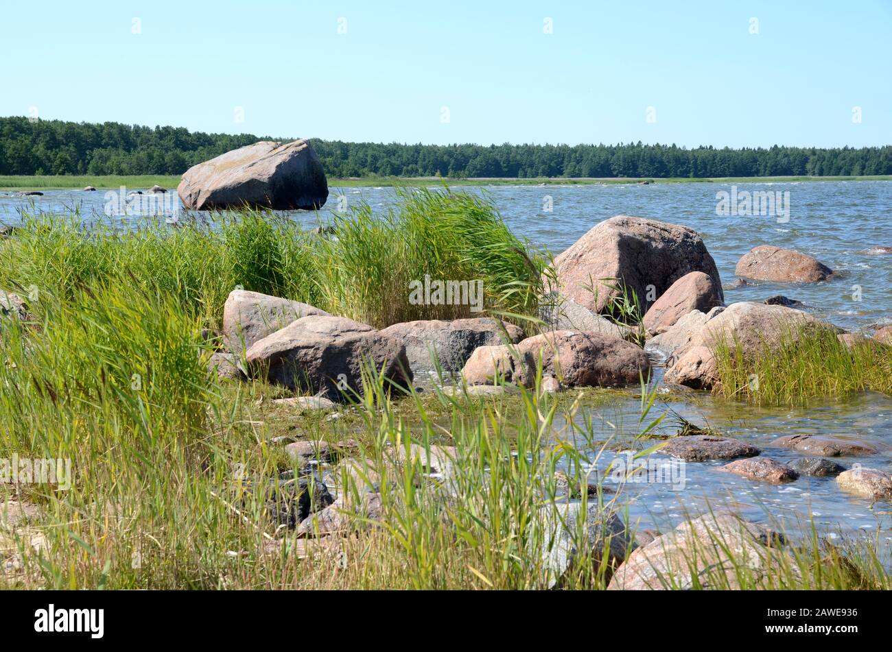 Estonian boulder hi-res stock photography and images - Alamy
