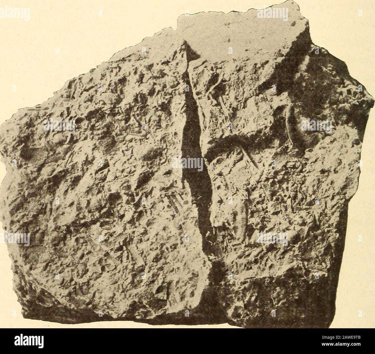 Oldorchard hi-res stock photography and images - Alamy