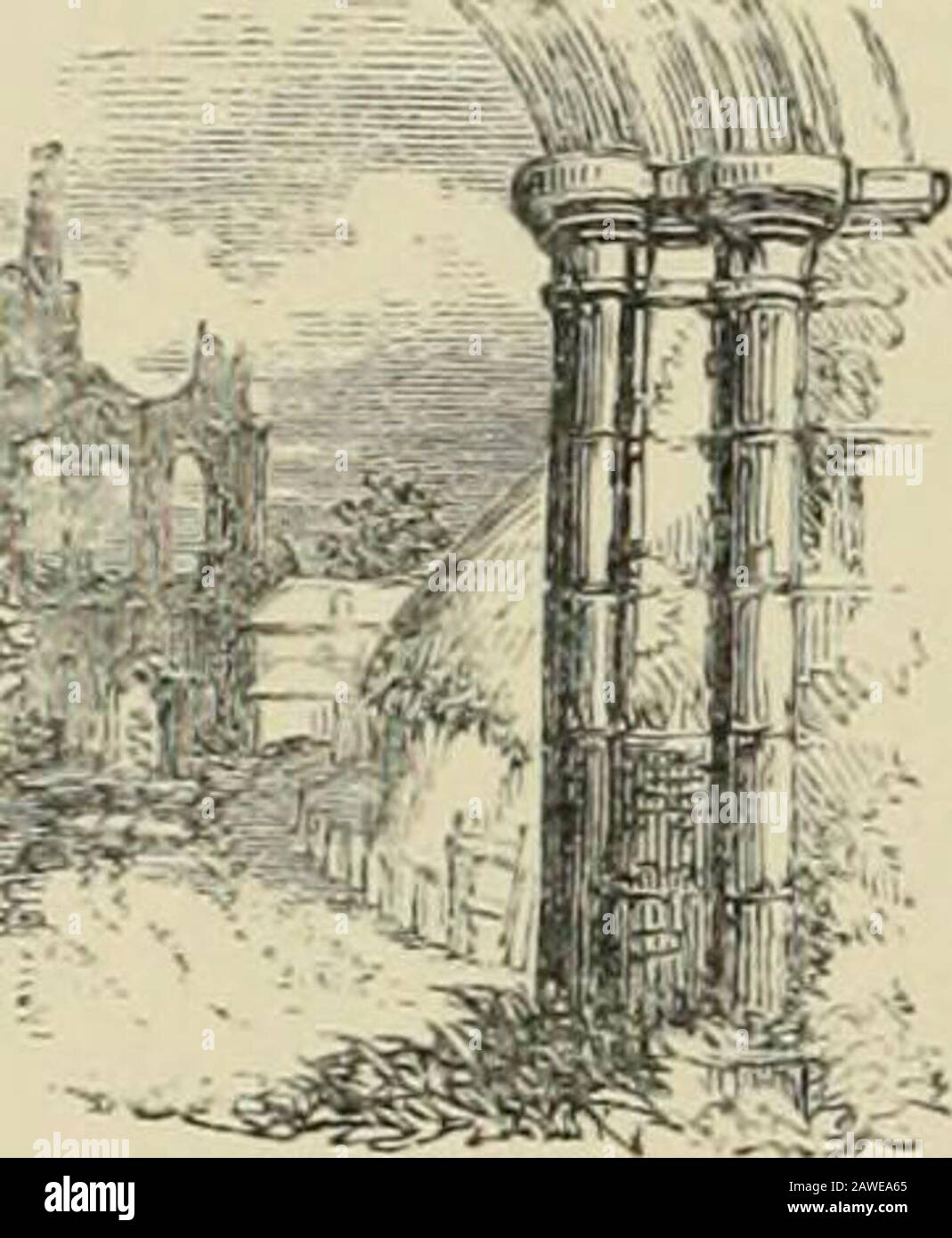 Ruined abbeys and castles of Great Britain and Ireland . atan armed ...