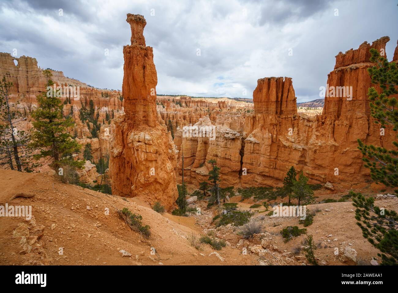 hiking the peek-a-boo loop in the bryce canyon national park in utah in ...