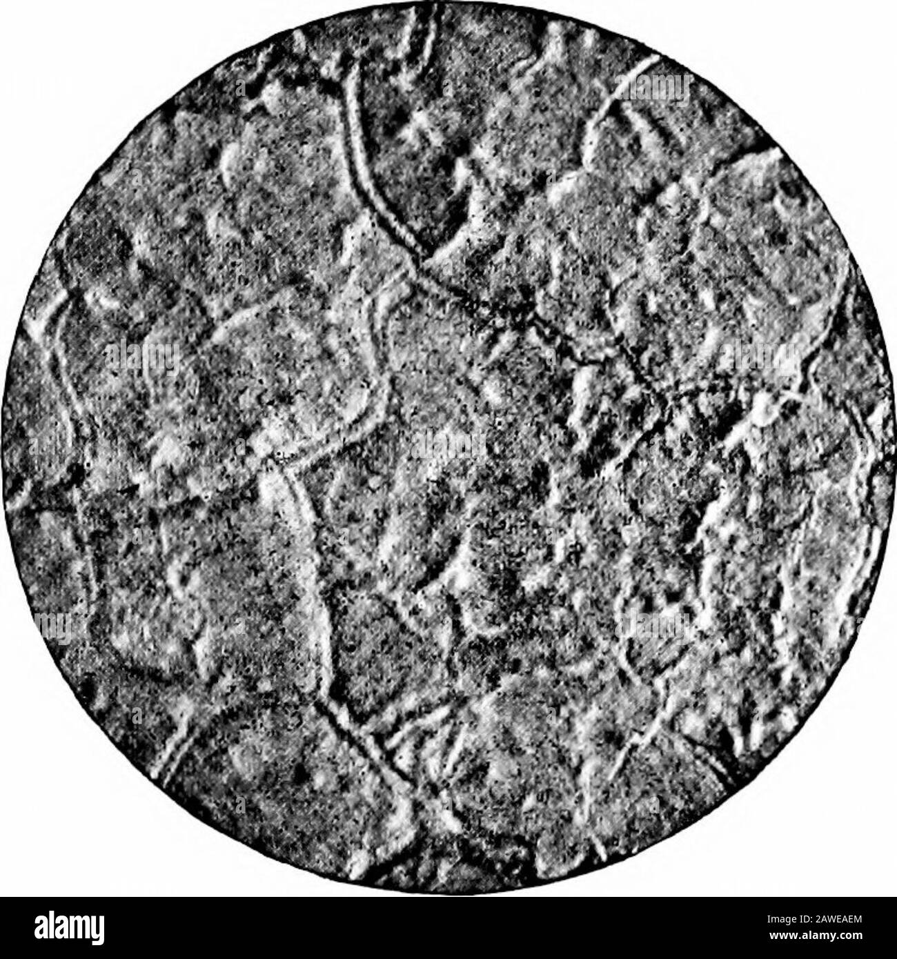 Iron ochre Black and White Stock Photos & Images - Alamy