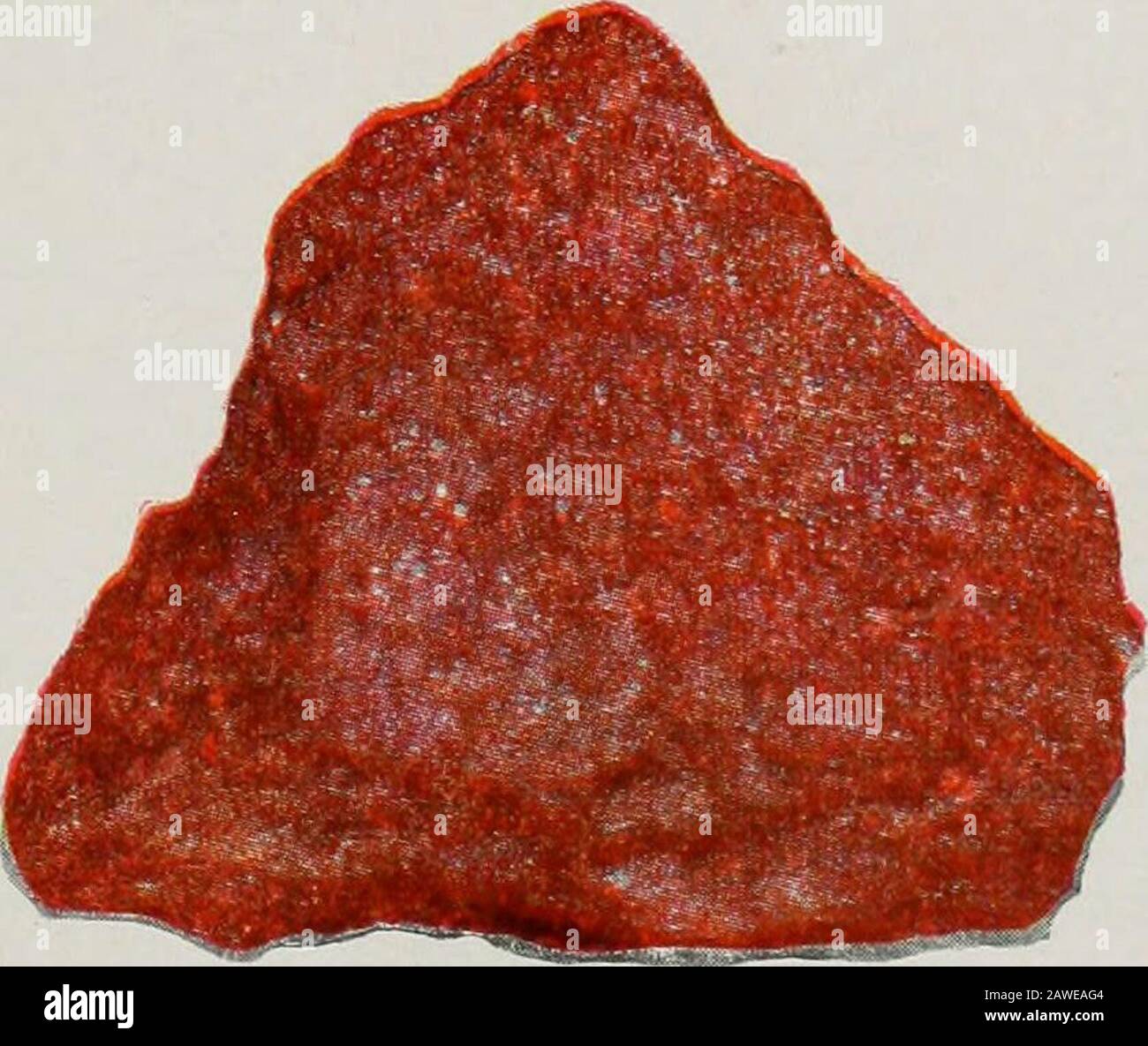 Breccia nevada hi-res stock photography and images - Alamy