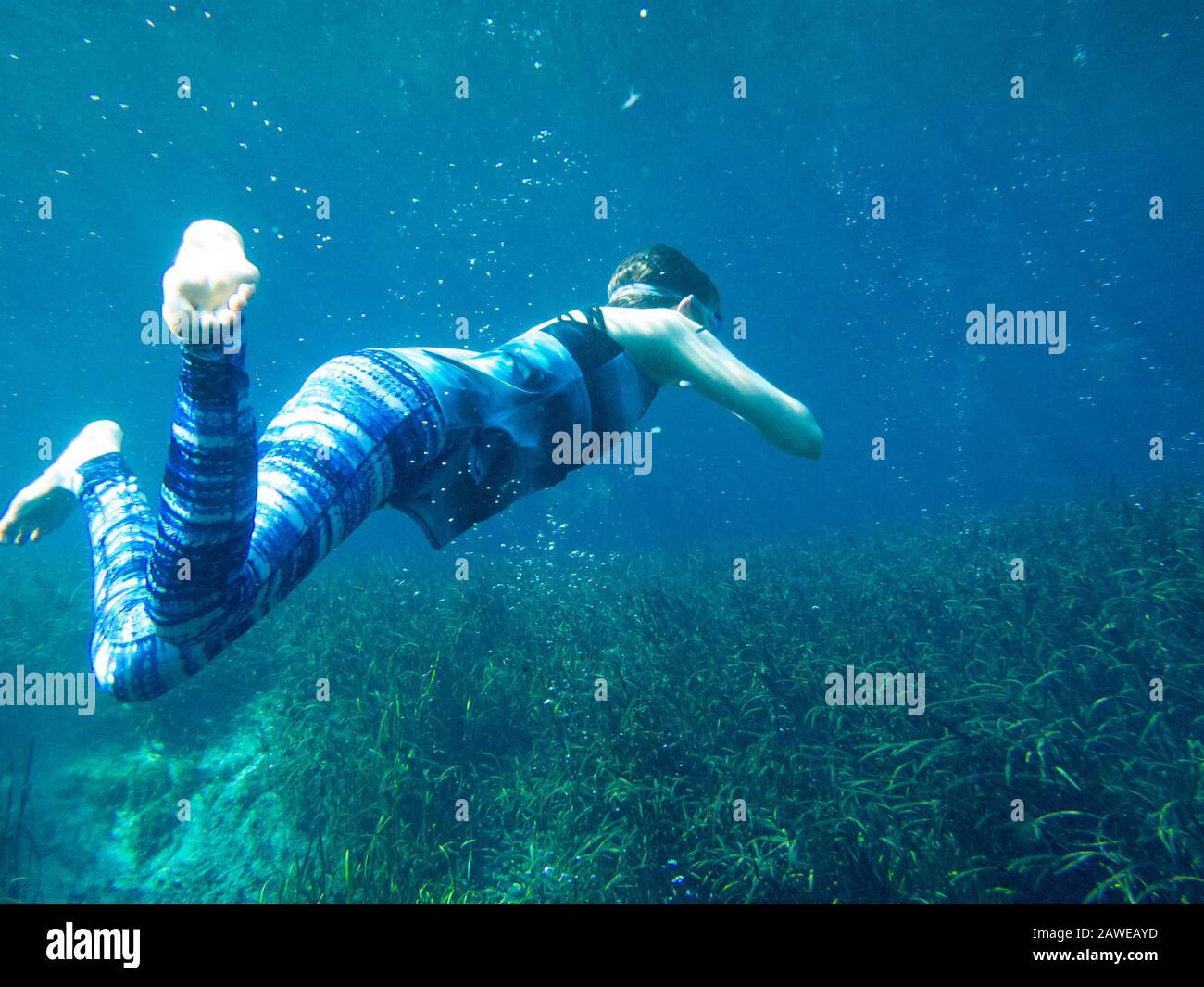 Clear Water Florida Spring High Resolution Stock Photography and Images ...