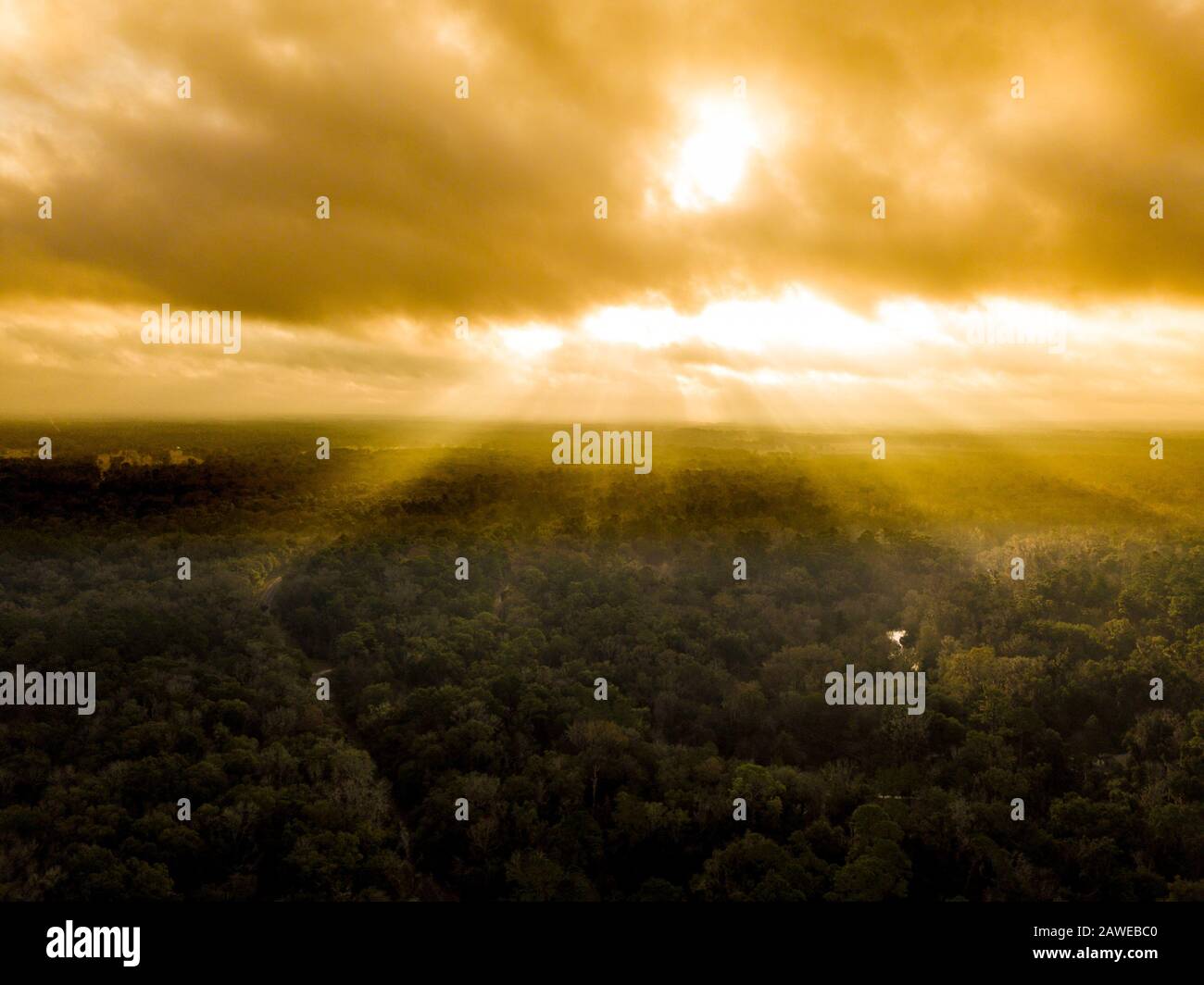 Break in the canopy hi-res stock photography and images - Alamy