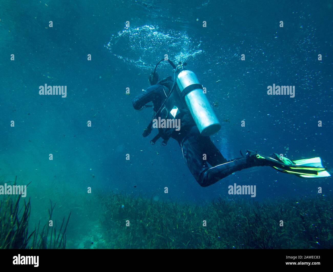 Underwater view of scuba diver in search and rescue exercise Stock ...