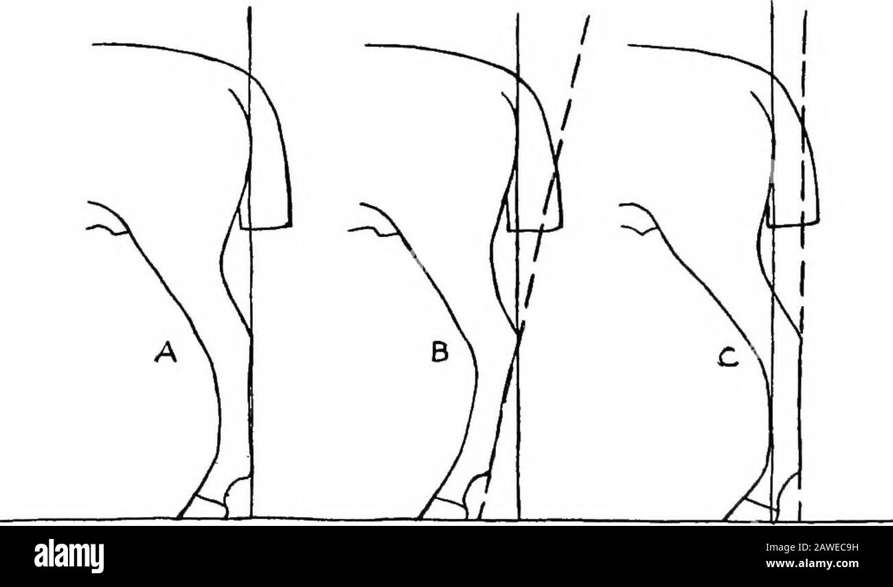 Slight slope Cut Out Stock Images & Pictures - Alamy