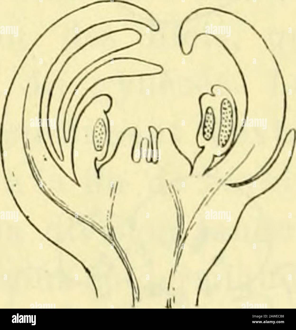 101 feuilles hi-res stock photography and images - Alamy