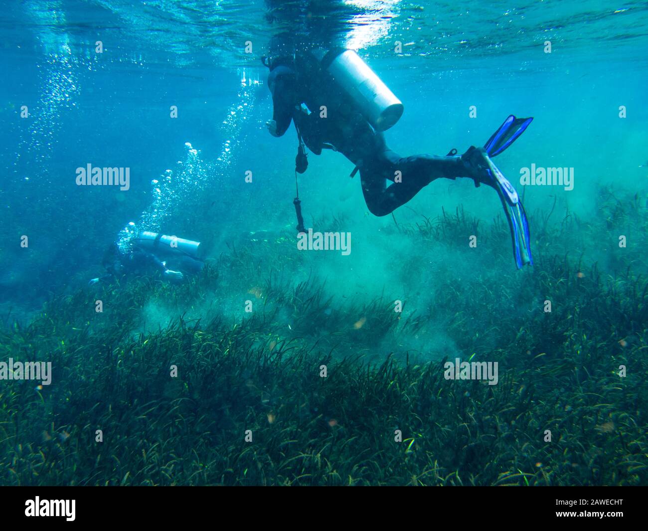 Underwater rescue hi-res stock photography and images - Alamy