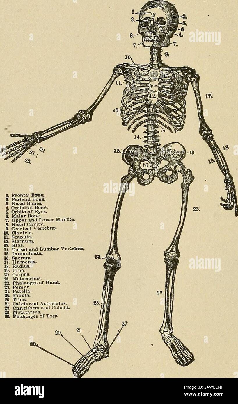 Disease dropsy hi-res stock photography and images - Alamy