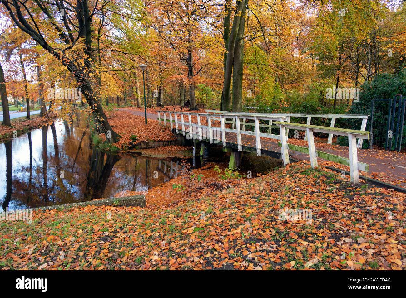 Autumn look in Dutch forest with wooden bridge and ditch Stock Photo ...