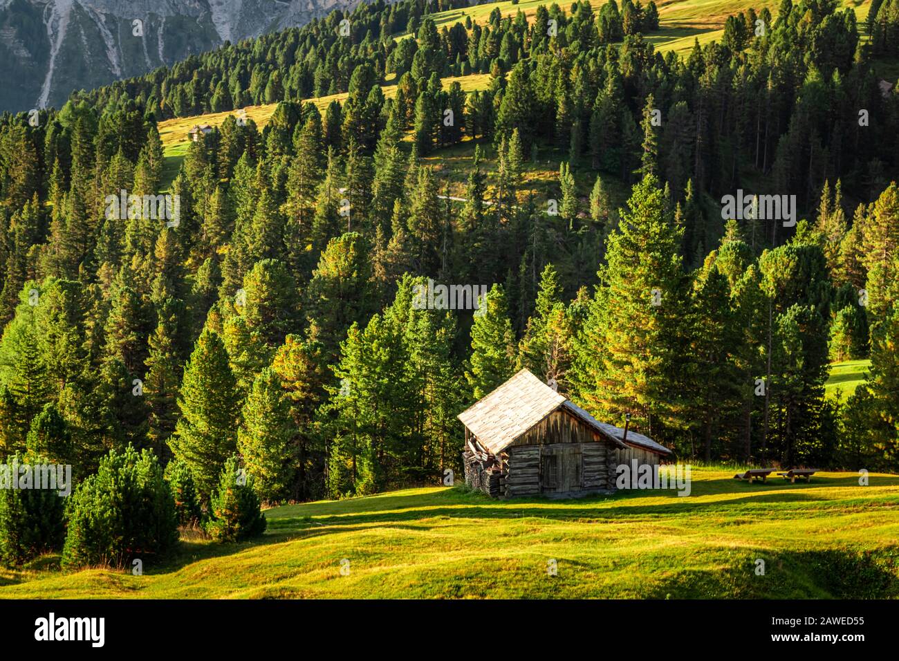 Wooden hut in forest near Passo delle Erbe in Dolomites Stock Photo - Alamy