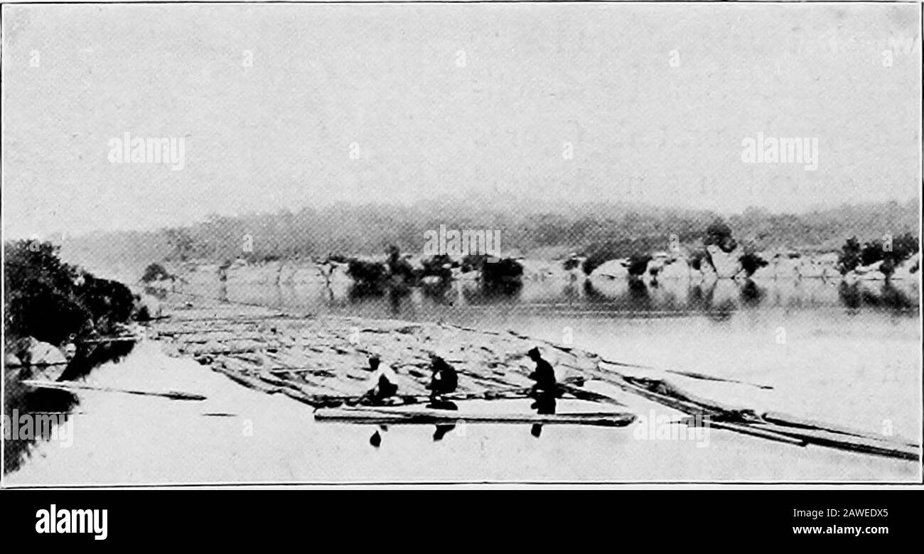 Bamboo timber Black and White Stock Photos & Images - Alamy