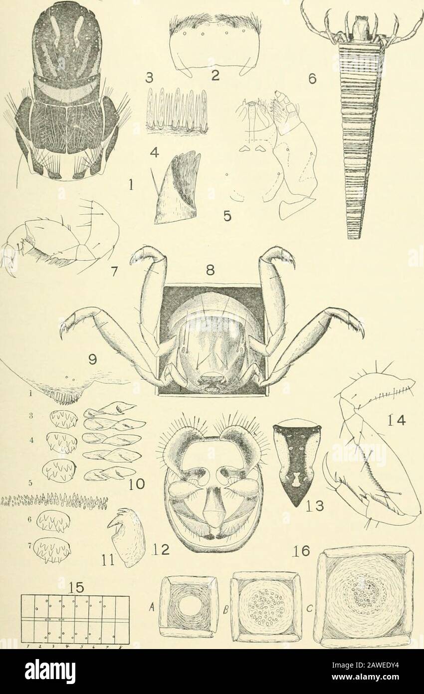 Journal of entomology and zoology . onafter their occupants have left ...