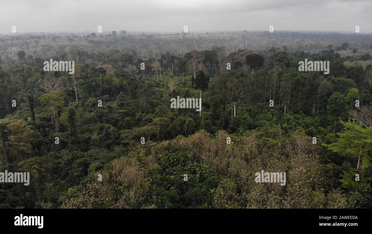 Congo forest aerial hi-res stock photography and images - Alamy