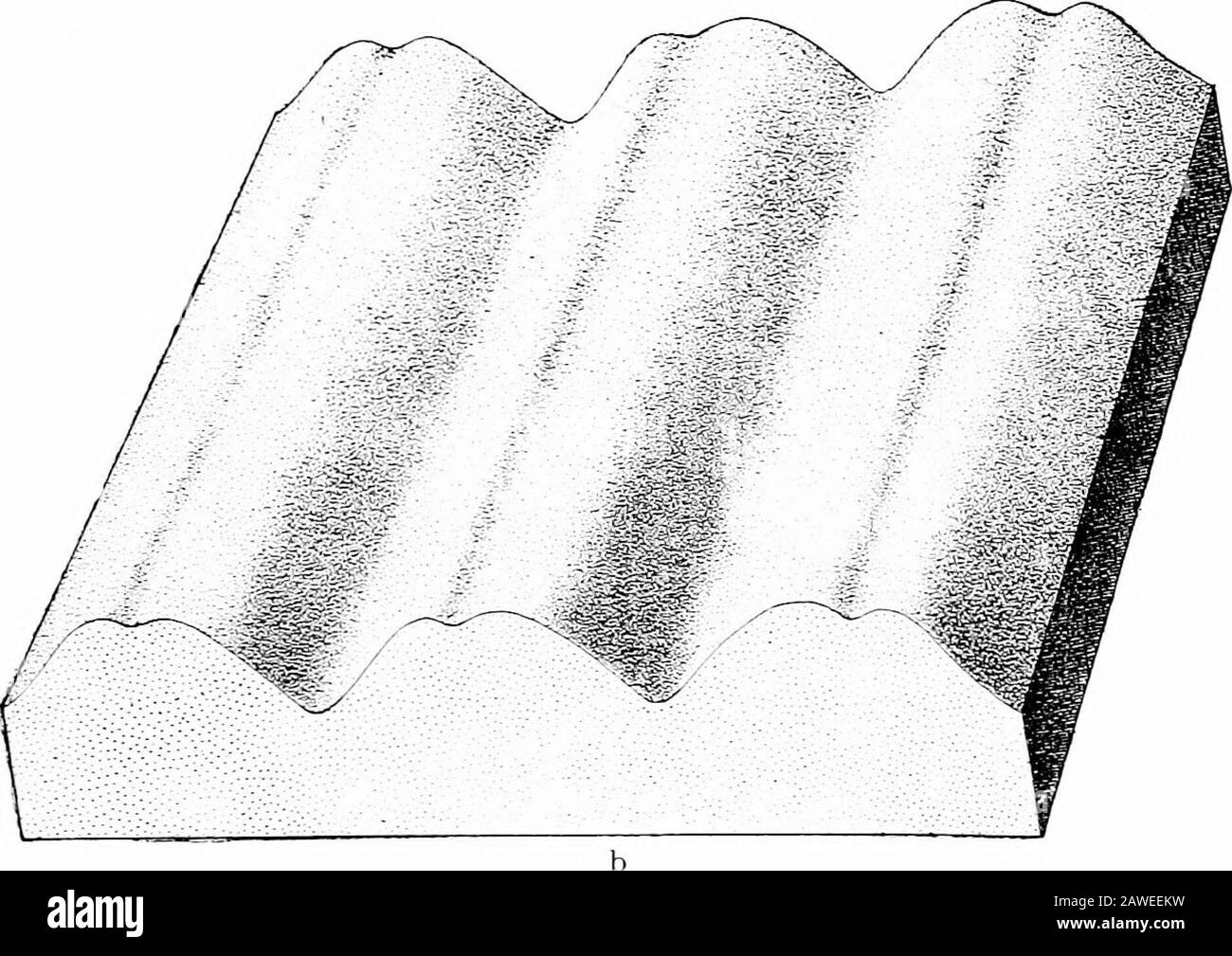 Structural geology . Fig. 64. Photograph of (a) ripple marks and (b ...