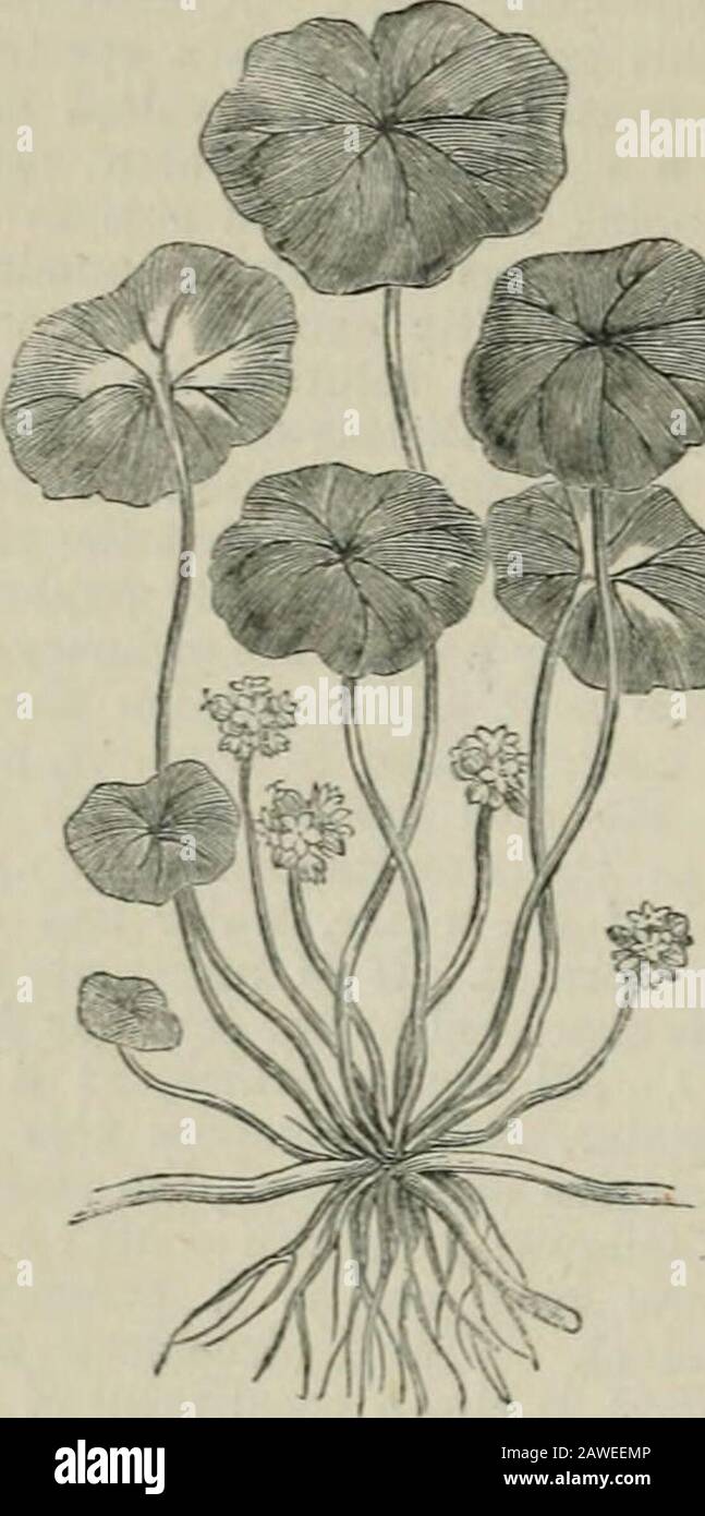 Silver chloride salt hi-res stock photography and images - Alamy