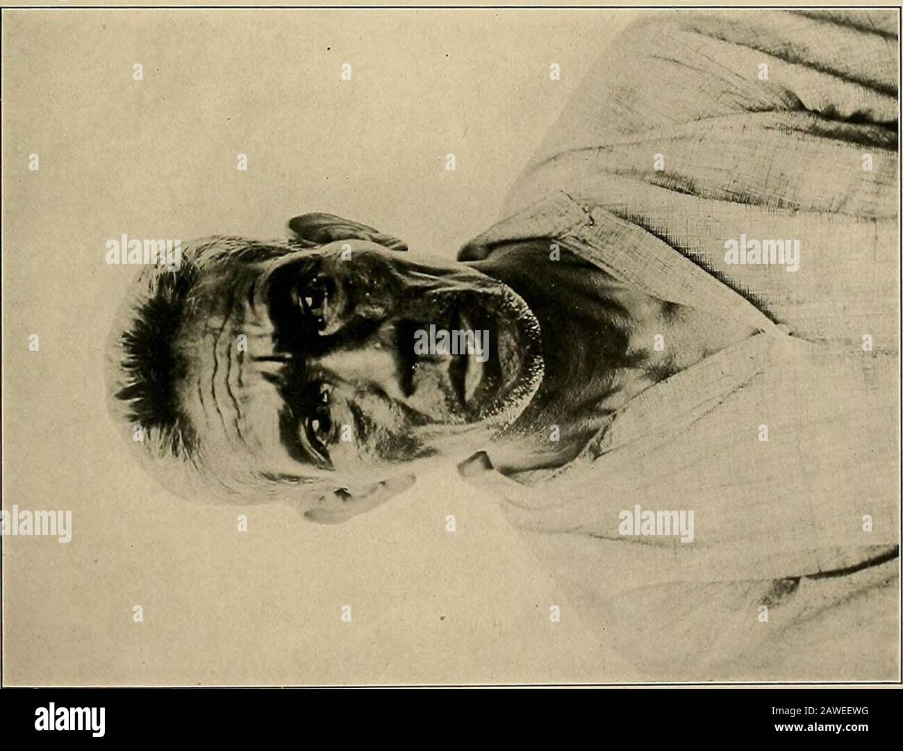 The Philippine journal of science Stock Photo - Alamy