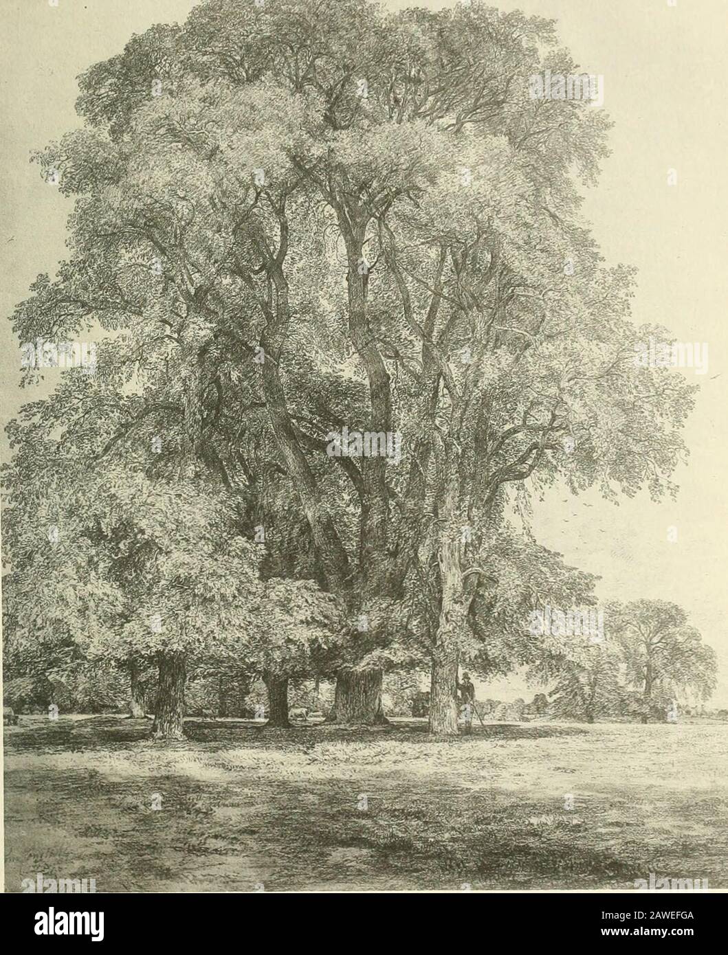 Constable john drawings hi-res stock photography and images - Alamy