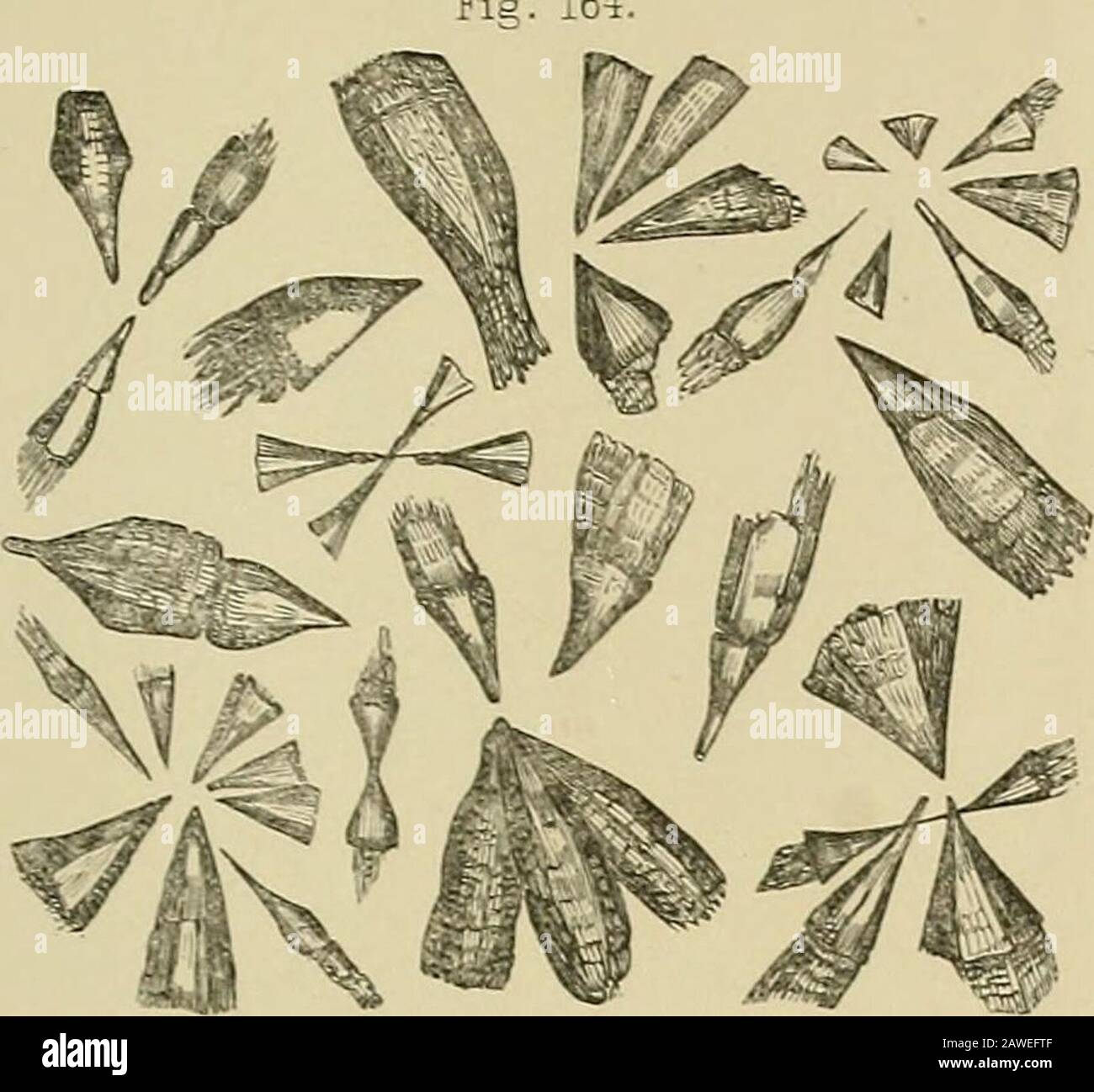 Kidney diseases, urinary deposits, and calculous disorders : their ...