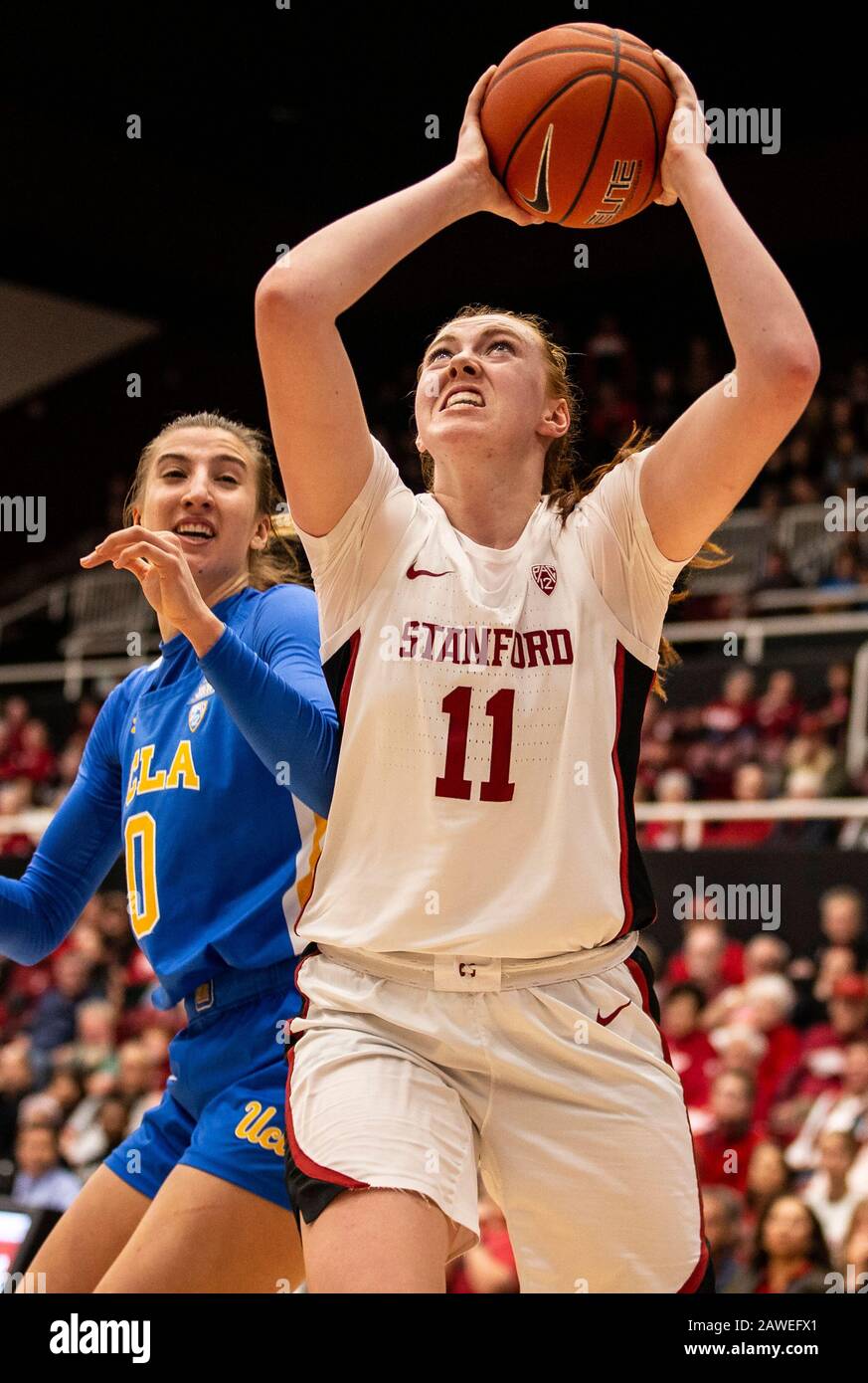 Ashten prechtel hi-res stock photography and images - Alamy