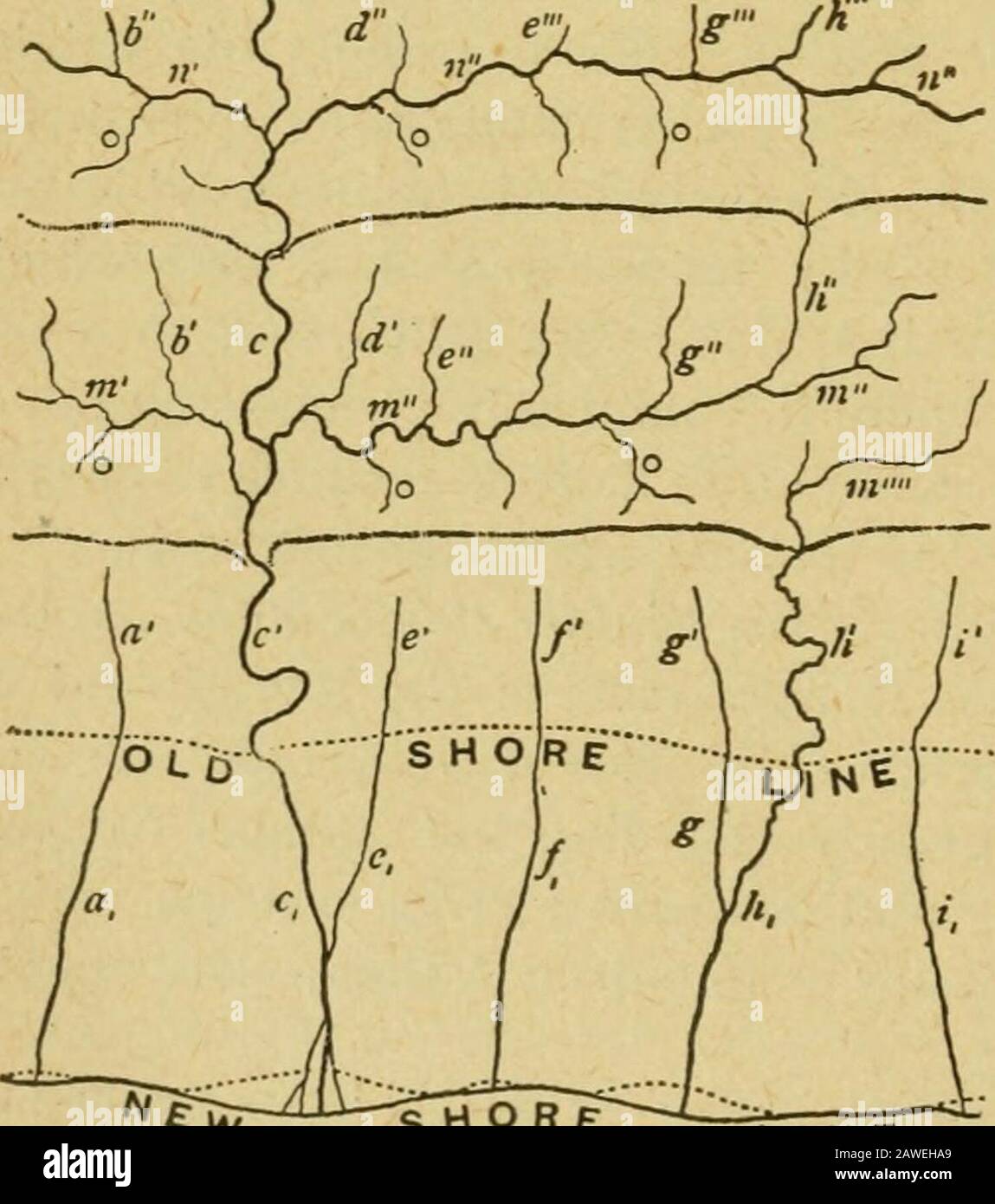 The international geography . ^OOLESCENT SHbRE LINE Fig 35.—Cycle of ...